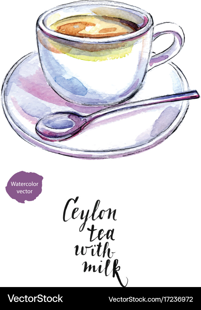 Ceramic cup ceylon tea with milk watercolor Vector Image