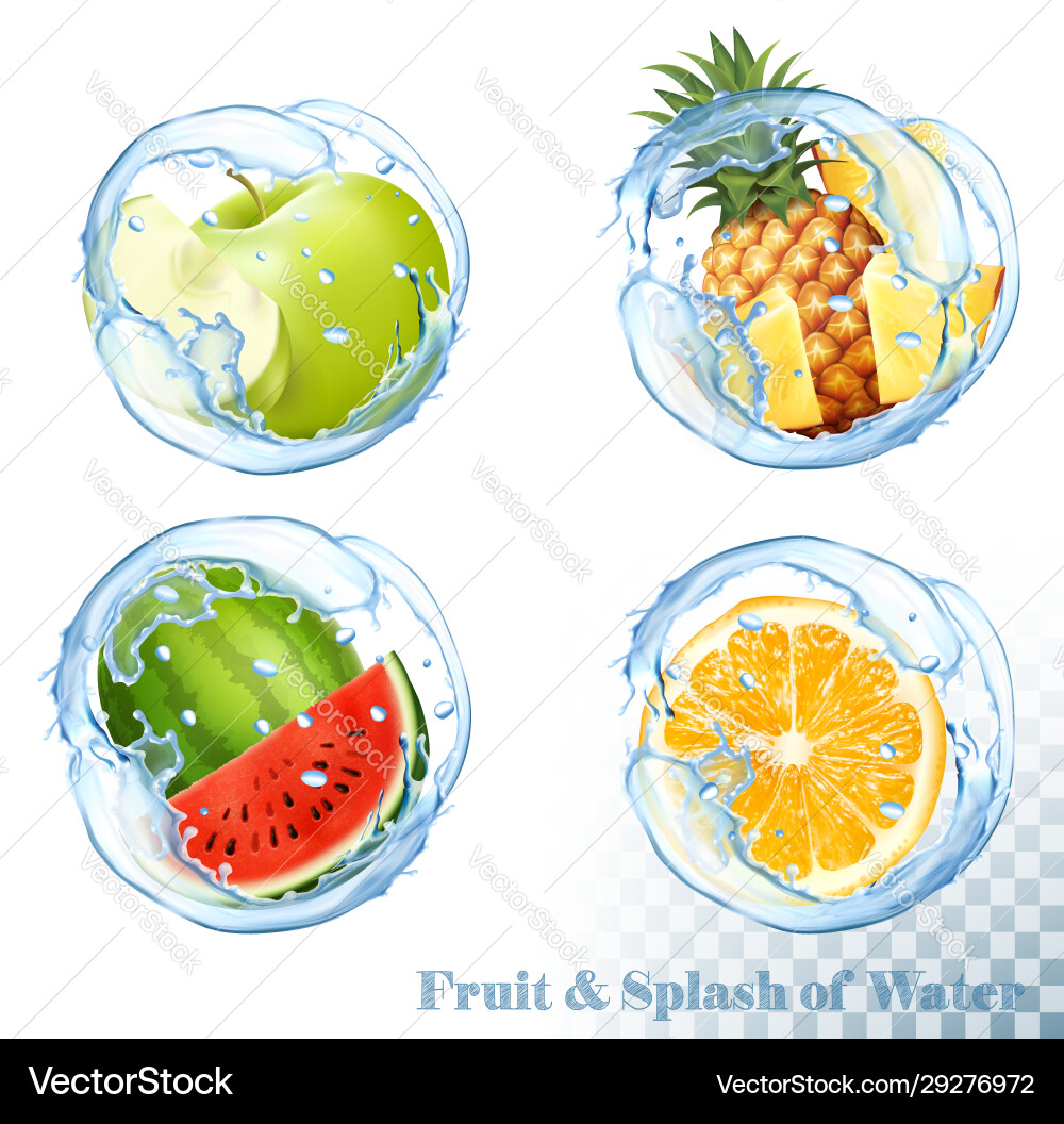 Collection fruit and berries in a water splash Vector Image