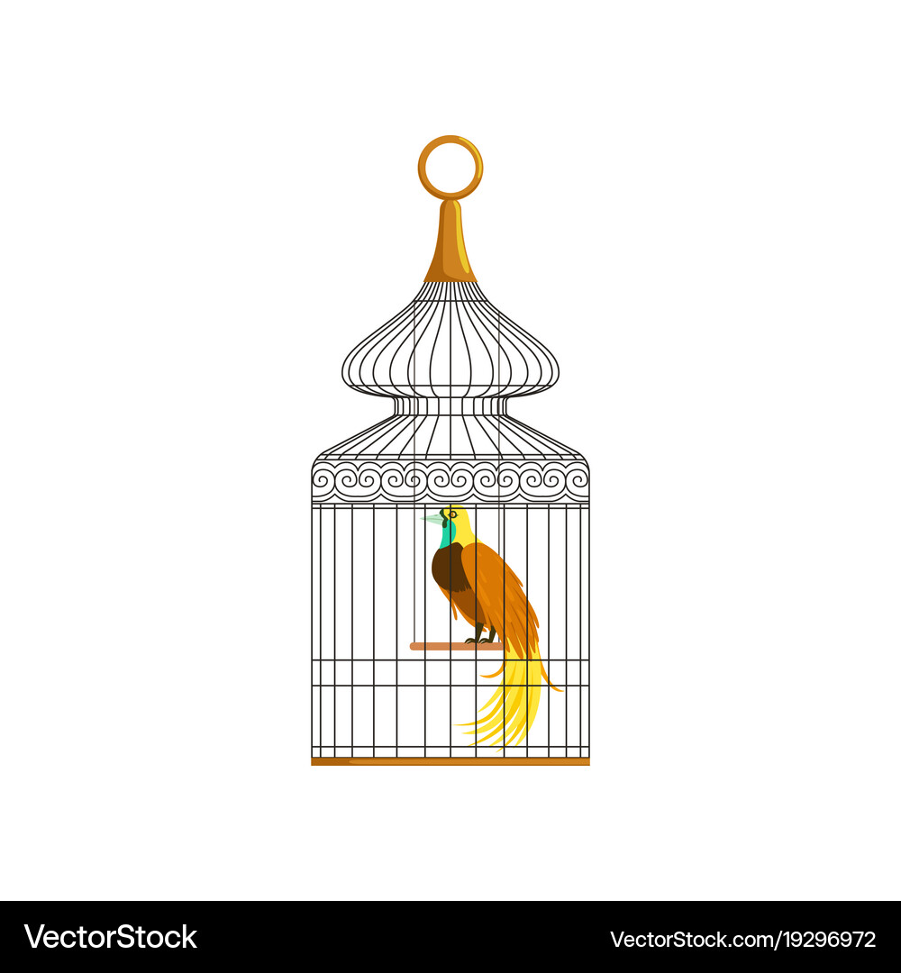 Colorful bird with long feathers sitting Vector Image