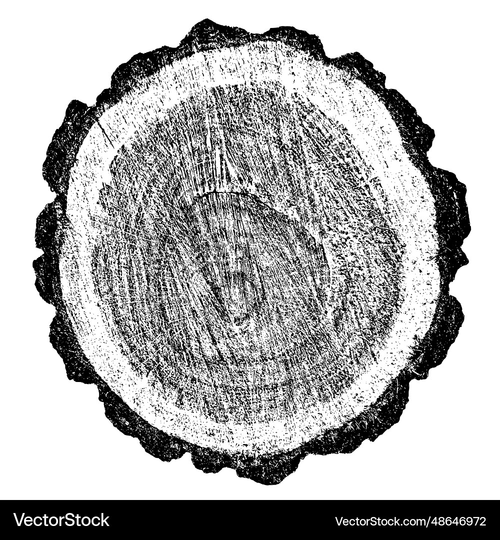 Distressed wood texture Royalty Free Vector Image