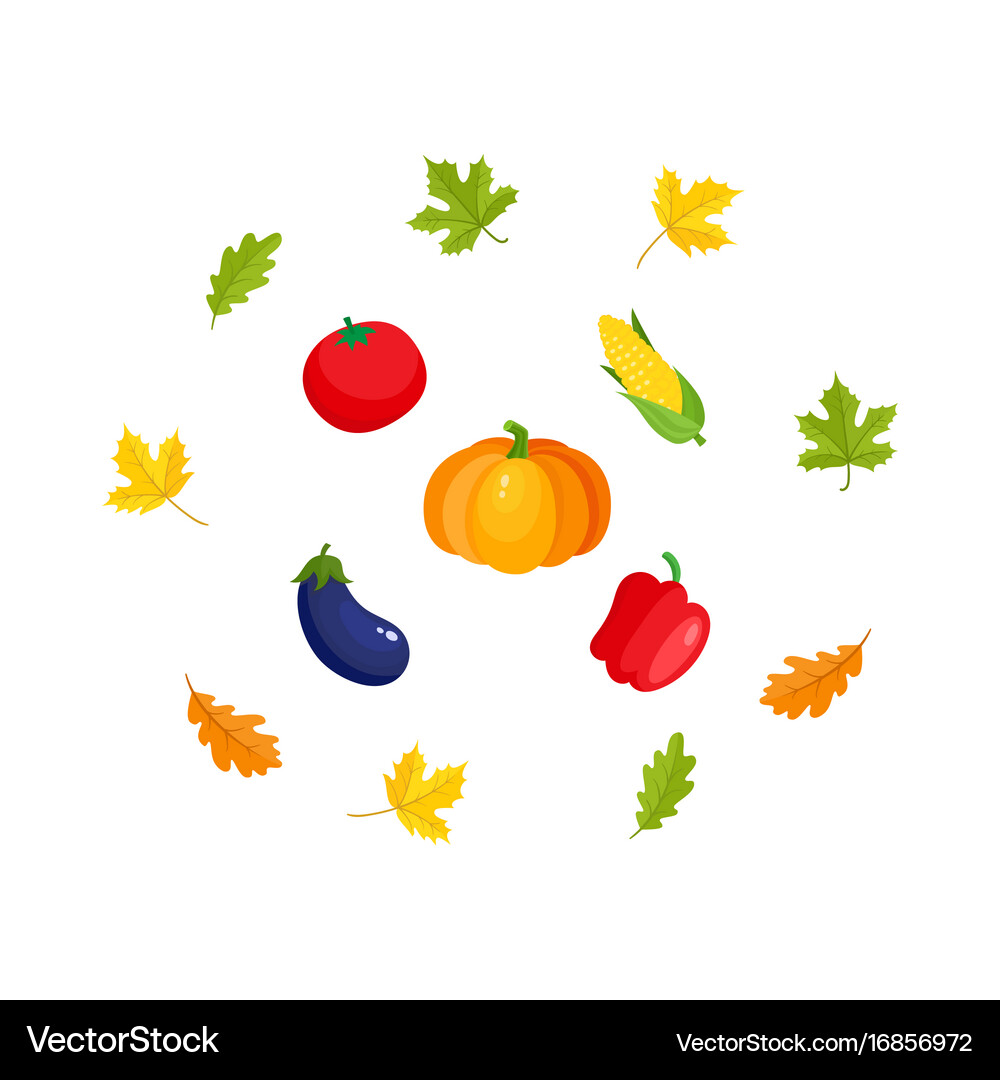 Fall autumn harvest set - leaves and vegetables Vector Image