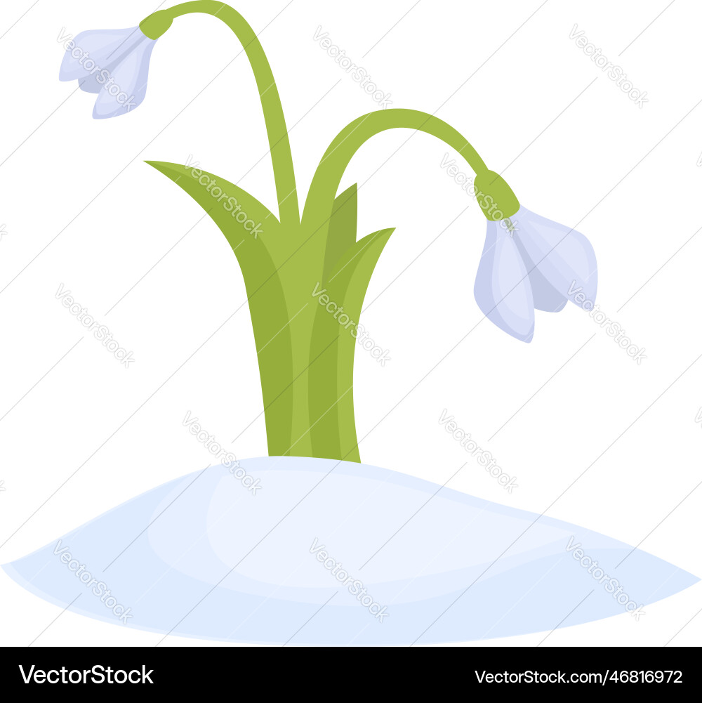 Winter snowdrop icon cartoon spring flower Vector Image