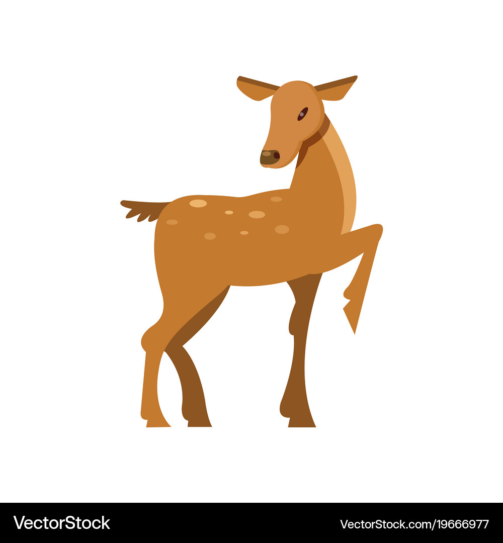 Fallow sika roe deer wild animal cartoon Vector Image