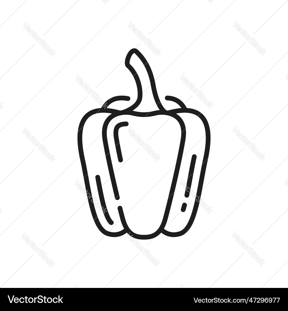 Fresh vegetable capsicum bulgarian bell pepper Vector Image
