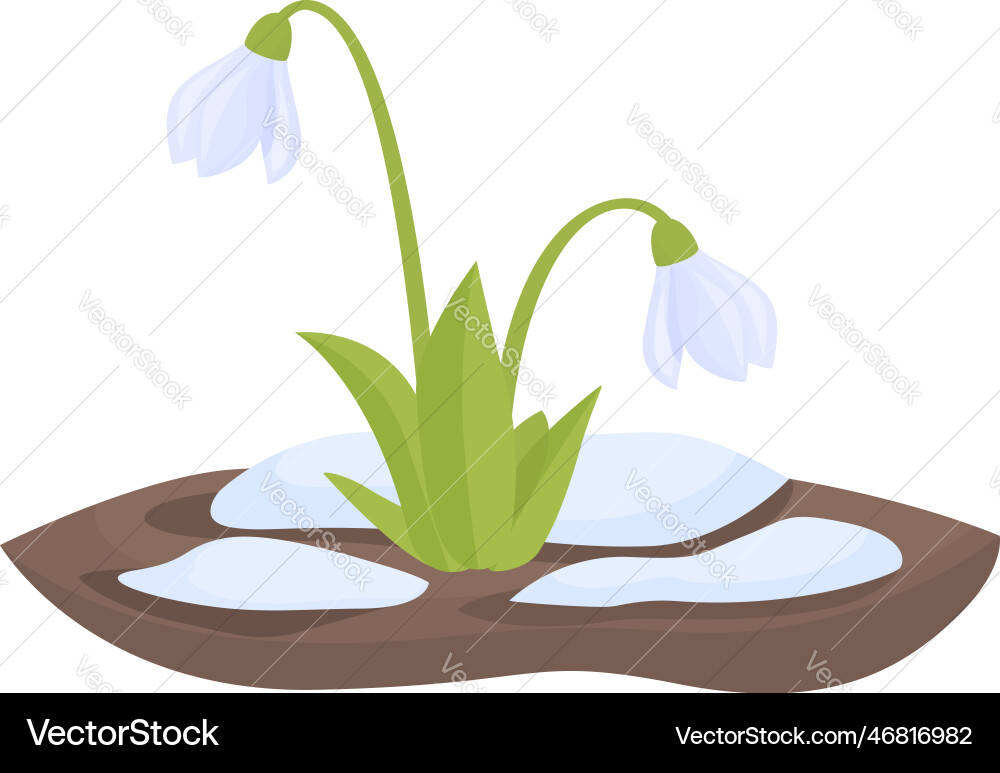 Snowdrop branch icon cartoon spring flower Vector Image
