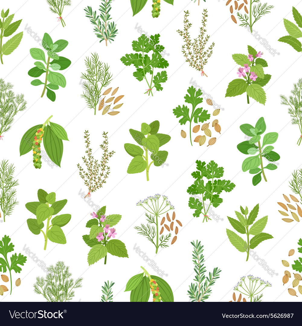 Herbs and spices seamless pattern Royalty Free Vector Image