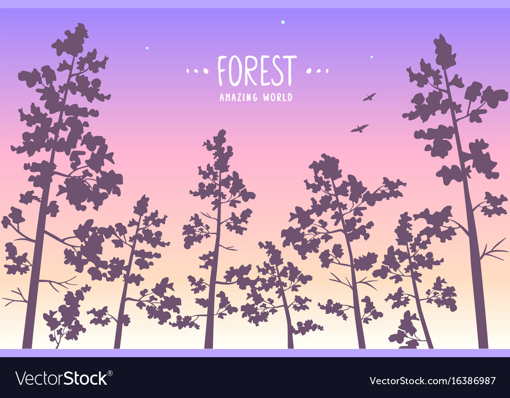 Pine trees Royalty Free Vector Image - VectorStock