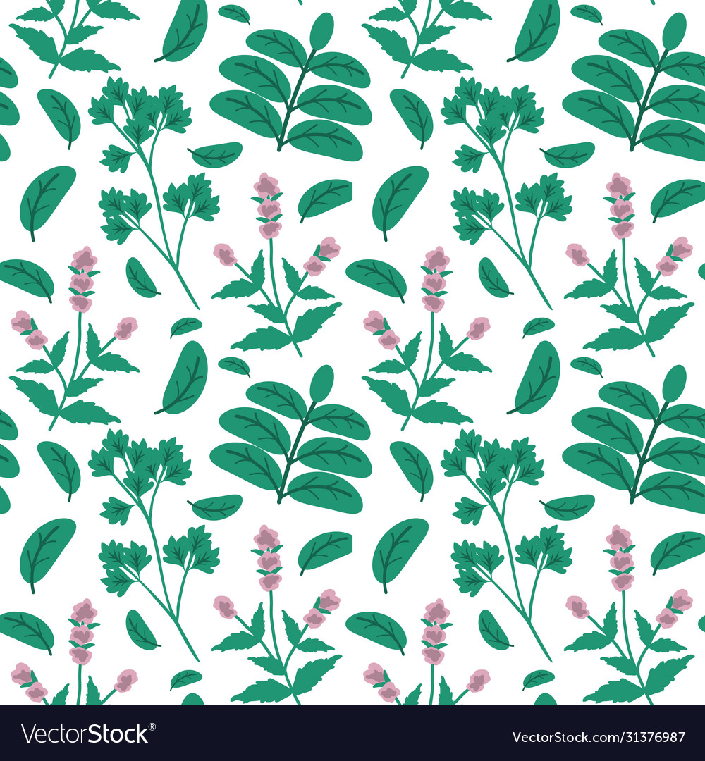 Seamless herbs pattern Royalty Free Vector Image