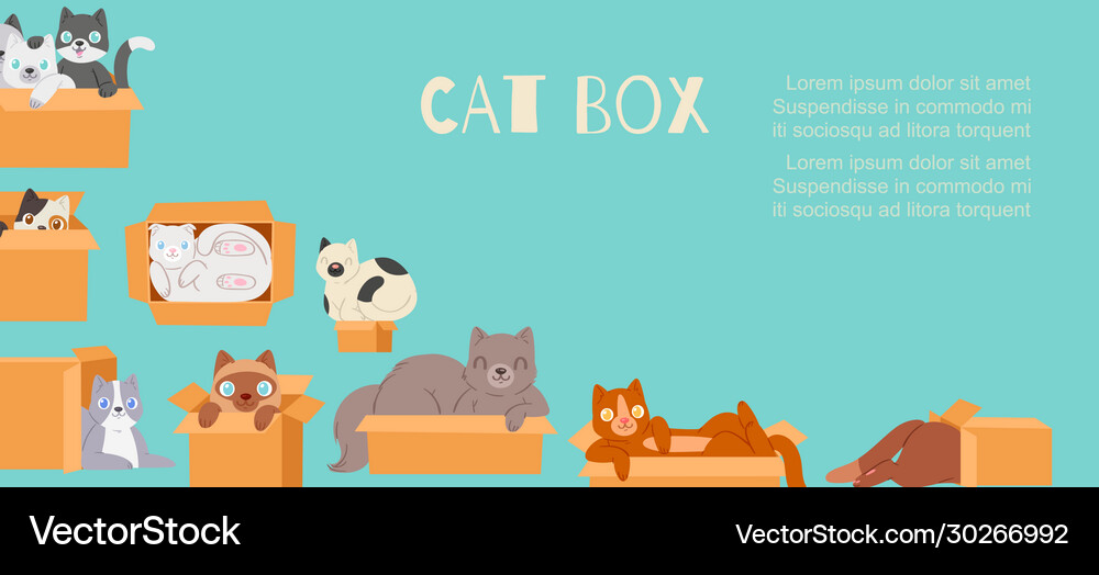 Cats in cardboard transportation boxes cartoon Vector Image