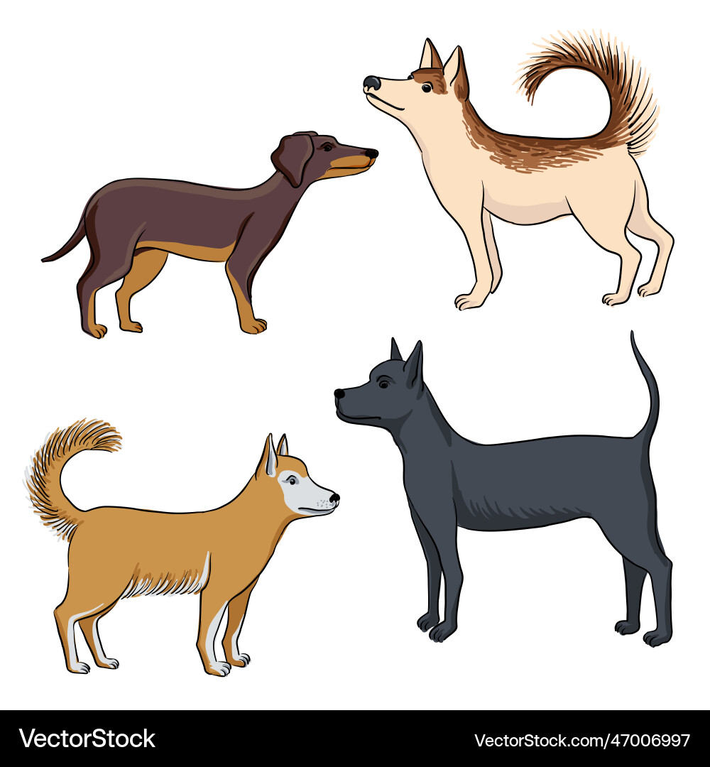 Drawing animals dogs Royalty Free Vector Image