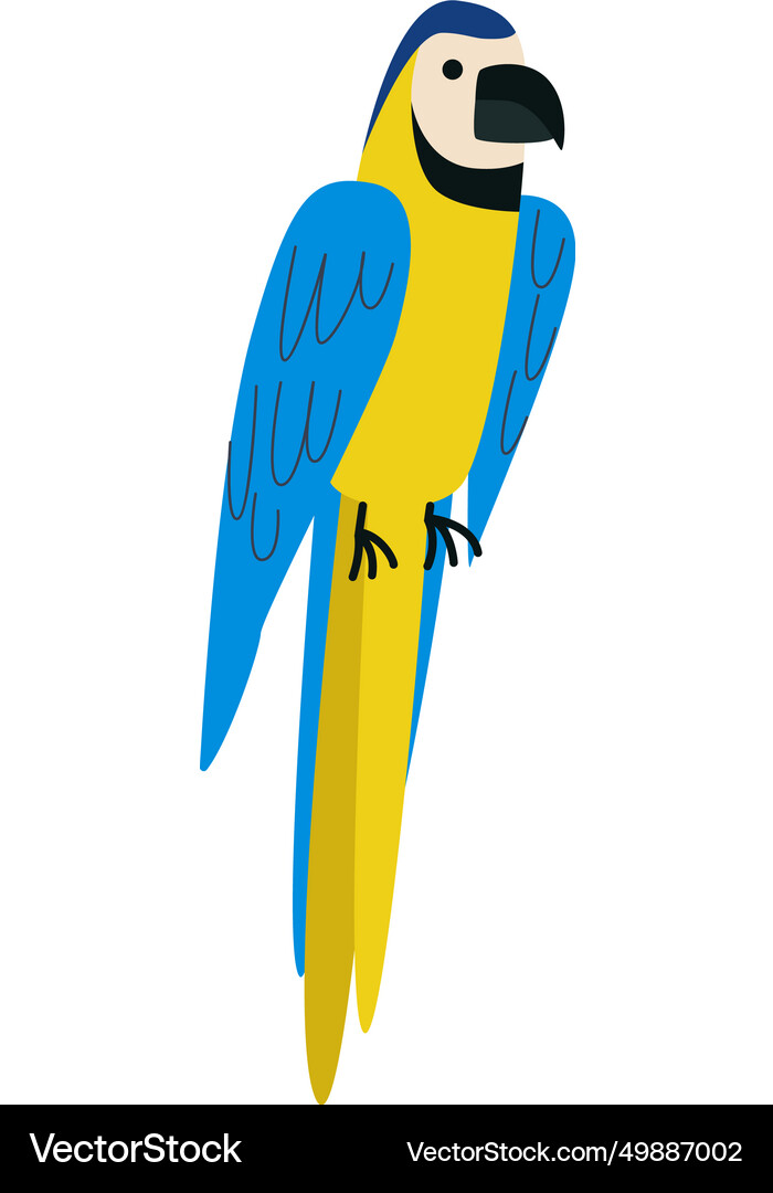 Blue and yellow macaw parrot perched tropical Vector Image
