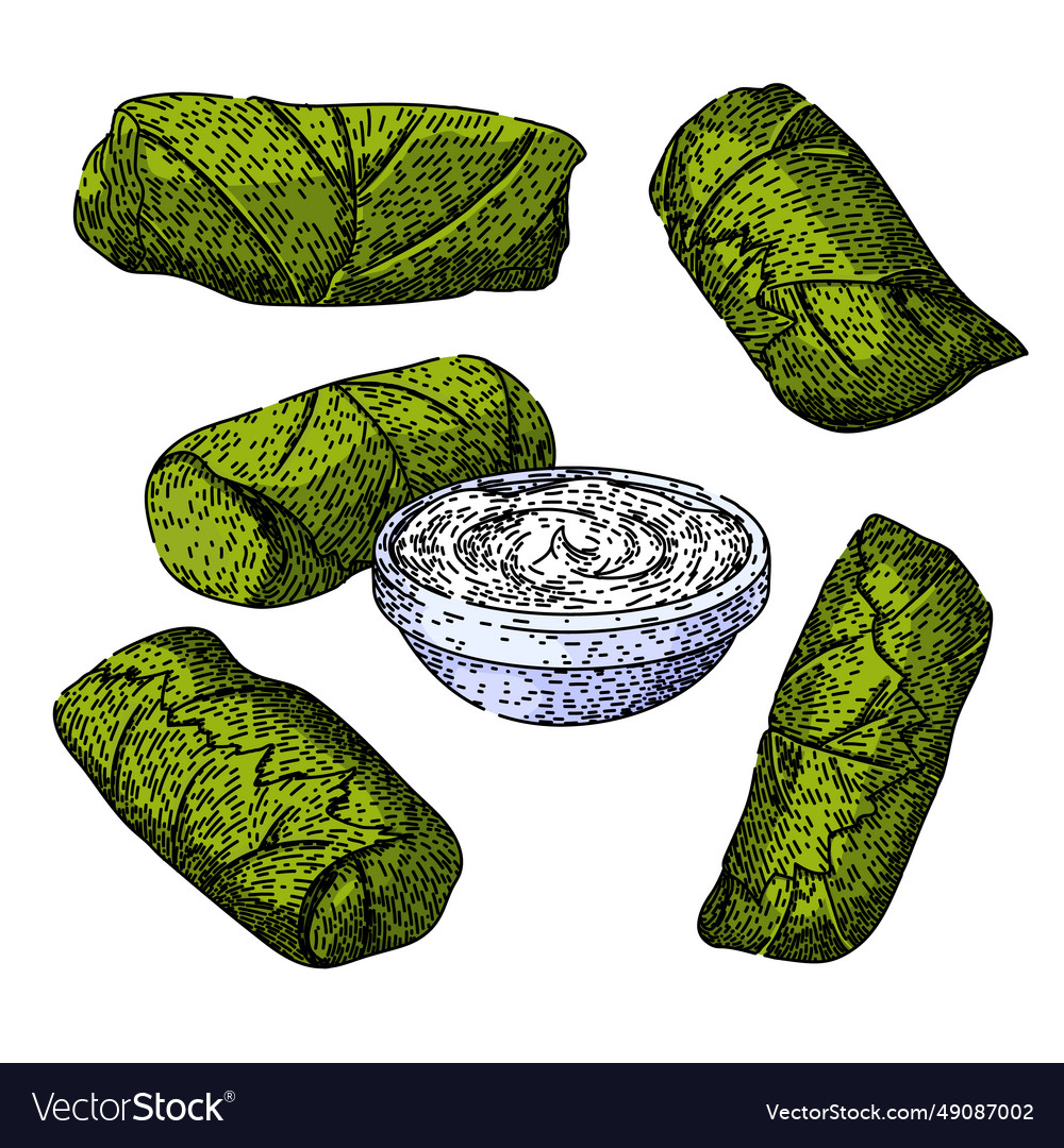 Dolma set sketch hand drawn Royalty Free Vector Image Dolma set sketch hand drawn Royalty Free Vector Image