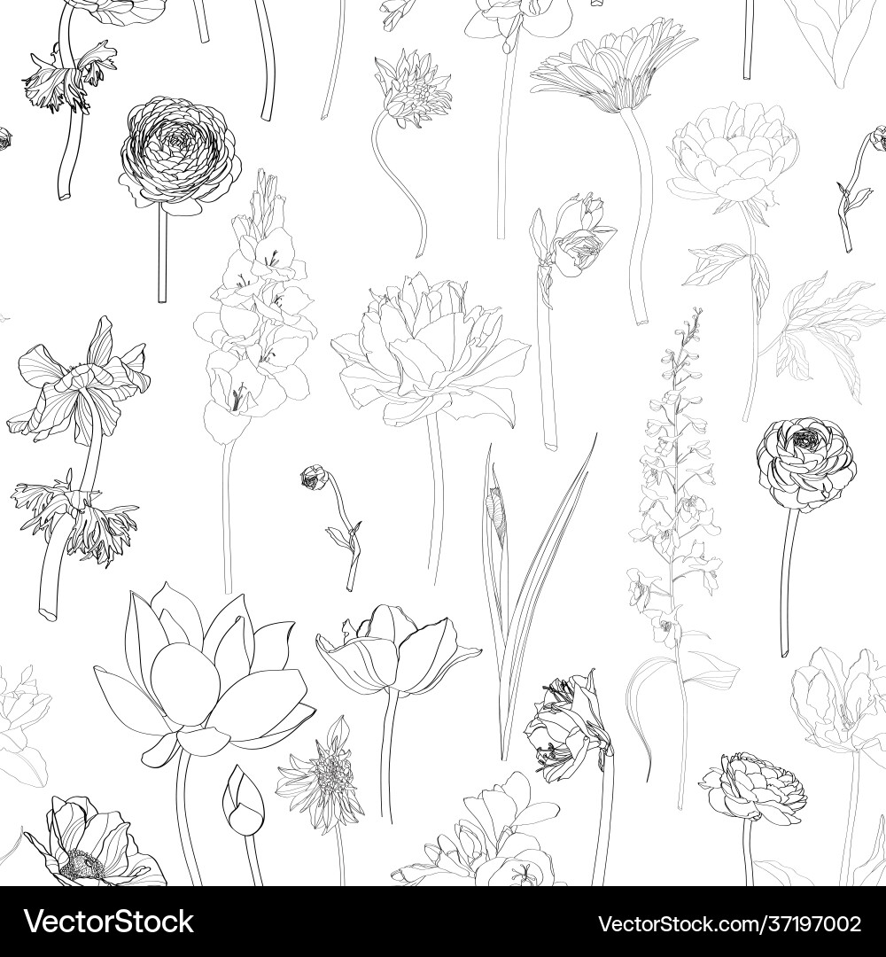 Many kind garden line flowers Royalty Free Vector Image