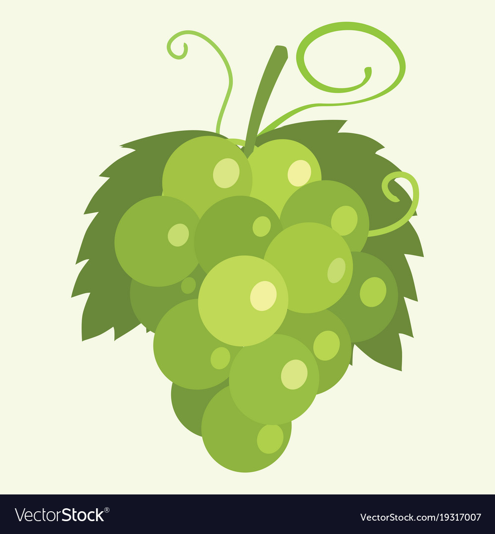 Grape Royalty Free Vector Image - VectorStock