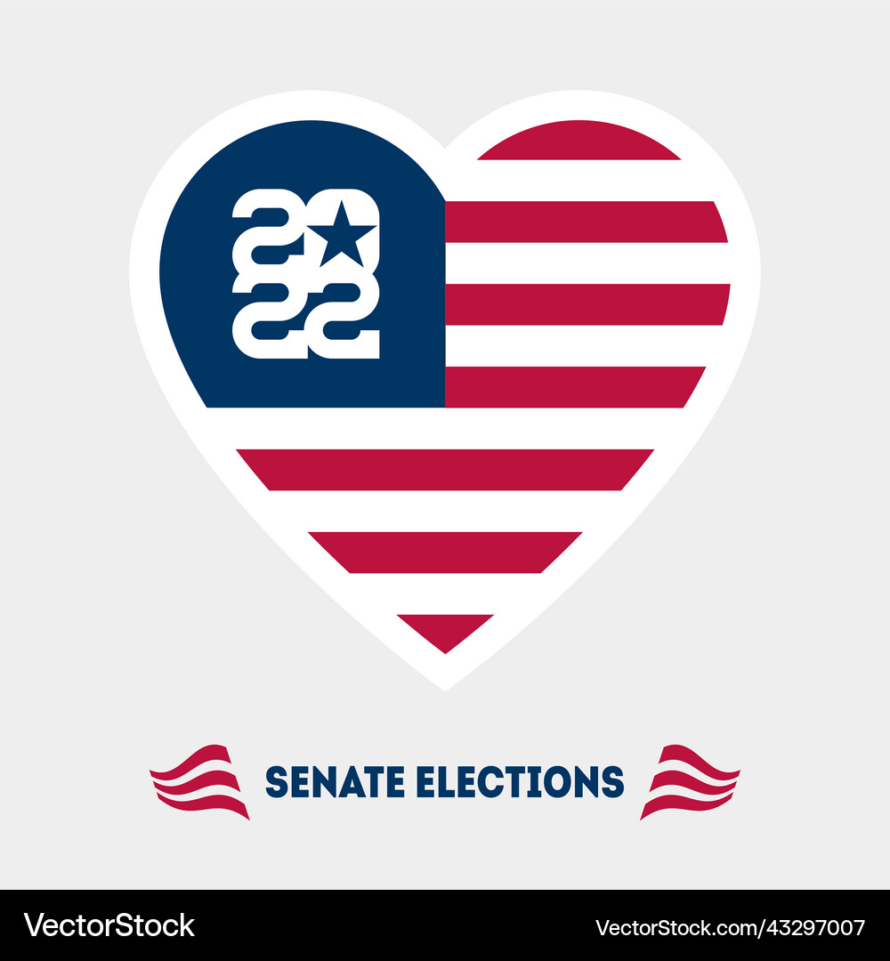 Poster for senate election with the us flag Vector Image