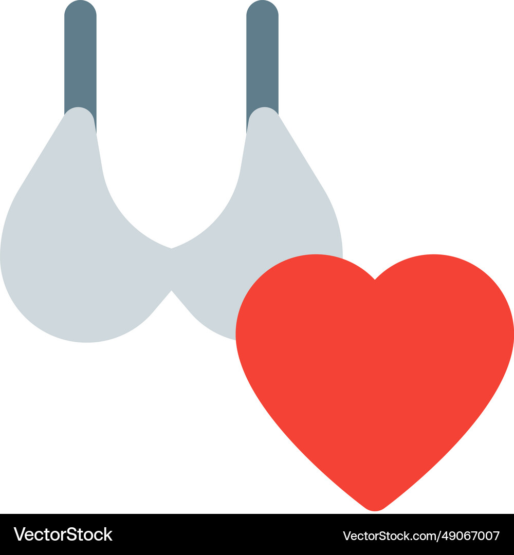 Price tag attached with stylish bra Royalty Free Vector
