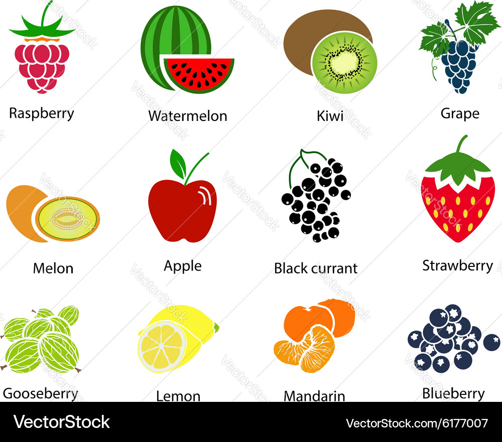Set of fruit icons with title Royalty Free Vector Image