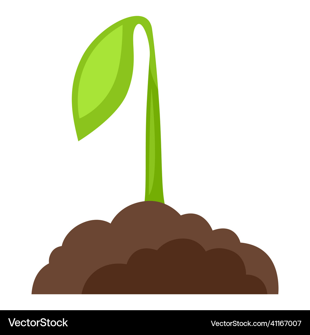 Sprout plant growing in ground Royalty Free Vector Image