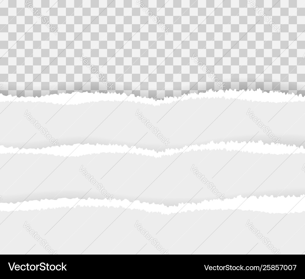 Torn paper edges seamless horizontally stock Vector Image