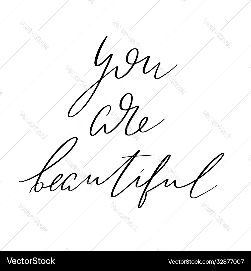 You are beautiful hand drawn lettering Royalty Free Vector