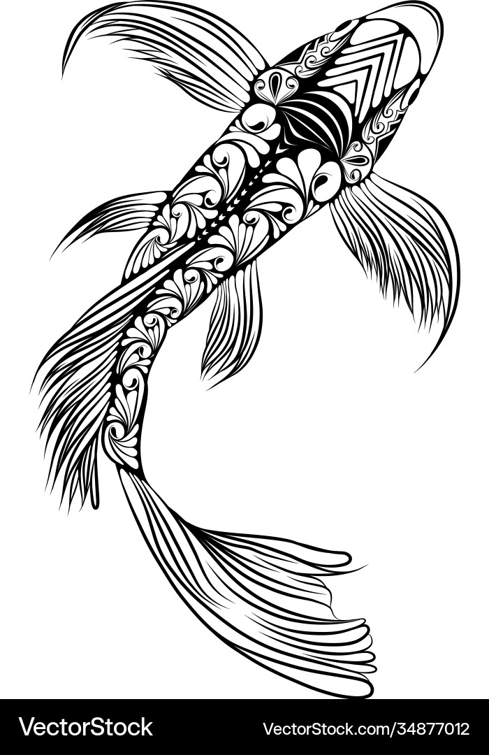 Big koi fish with beautiful tail and body Vector Image