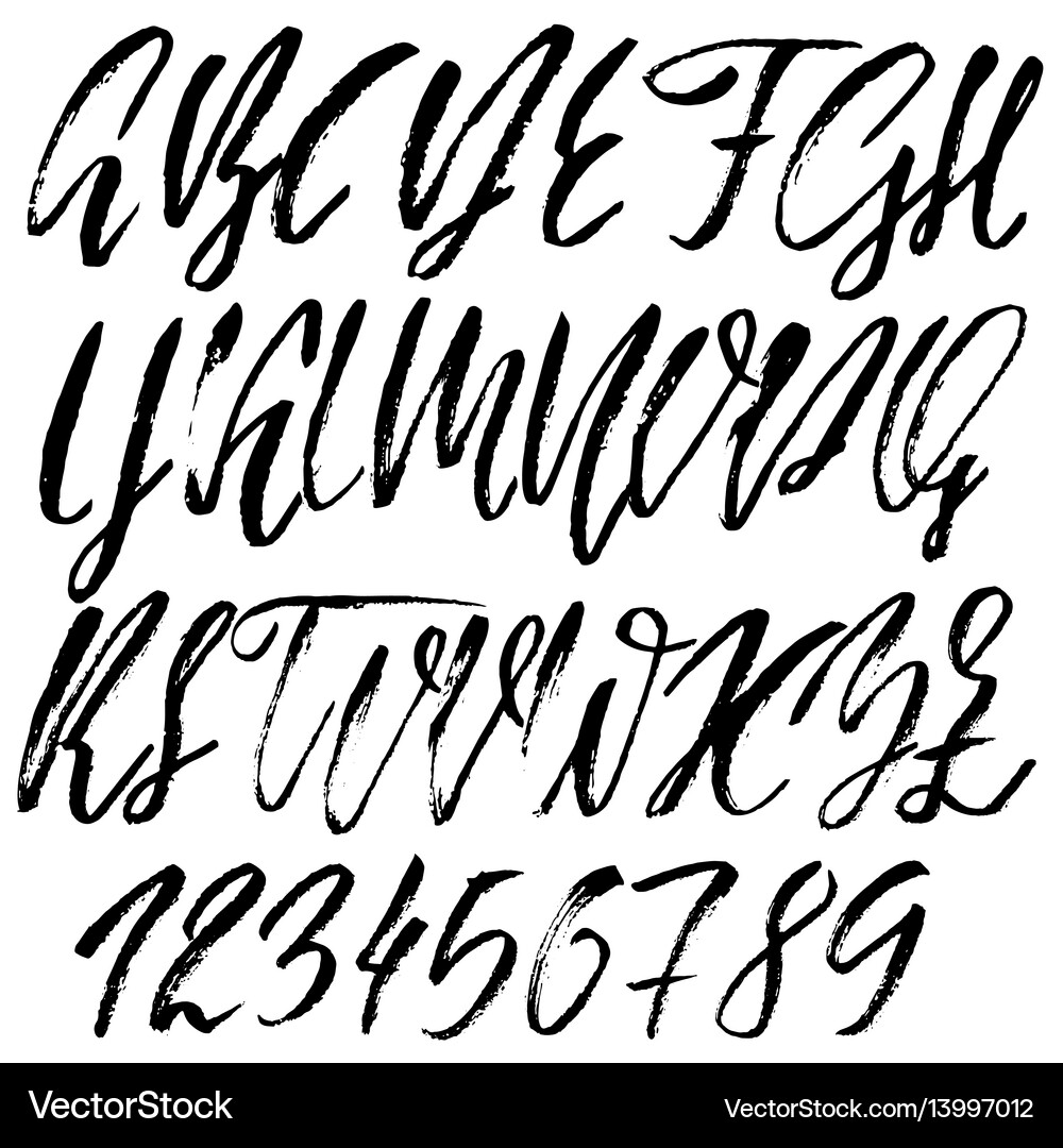Hand drawn font modern dry brush lettering Vector Image