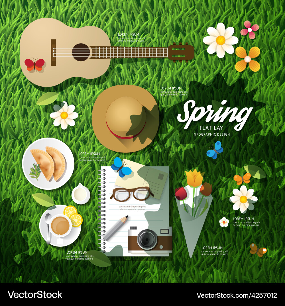 Infographic travel planning a spring vacation Vector Image