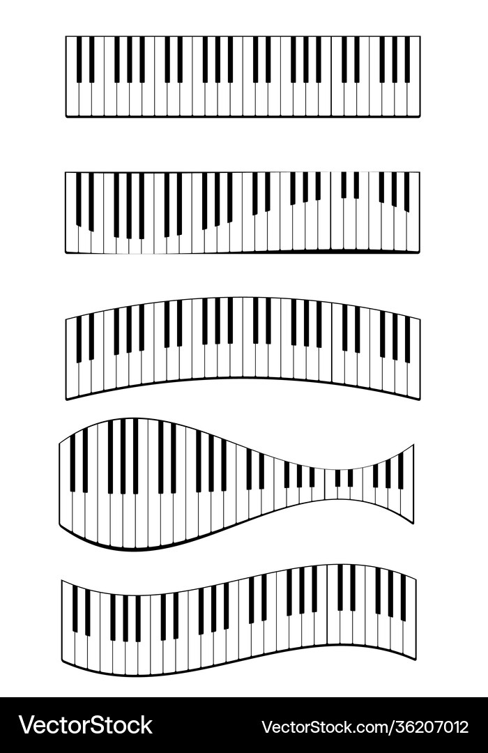 Realistic piano keys set musical instrument Vector Image