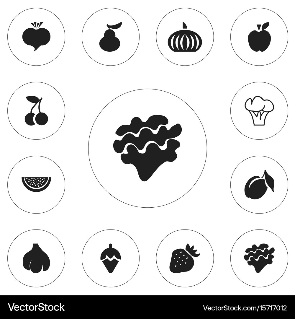 Set 12 editable berry icons includes symbols Vector Image