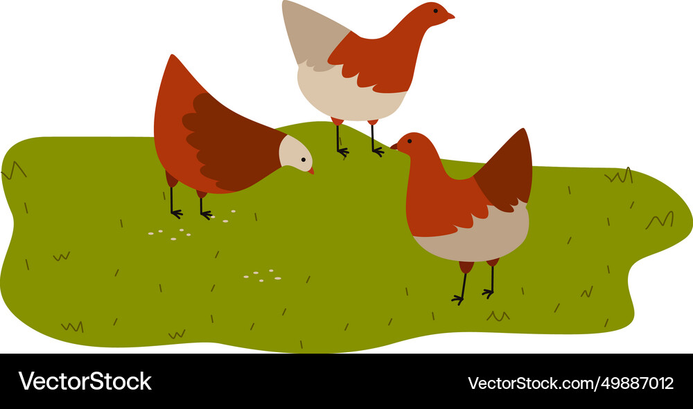 Three cartoon chickens on grass simple kids Vector Image