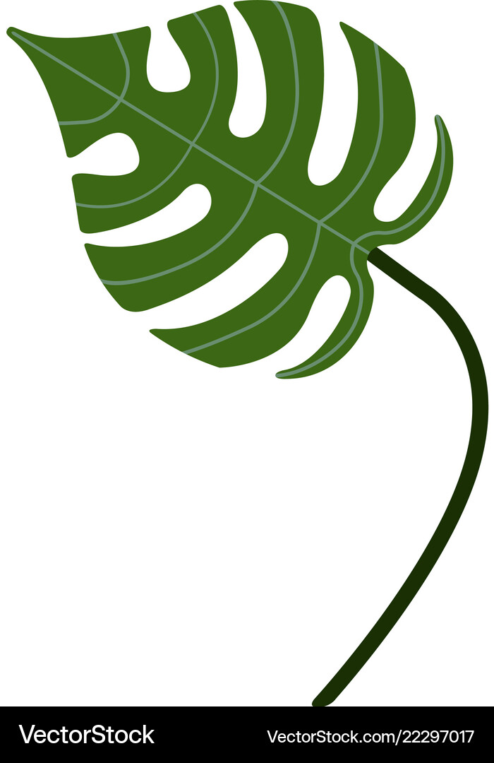 Colorful tropical leaf icon Royalty Free Vector Image