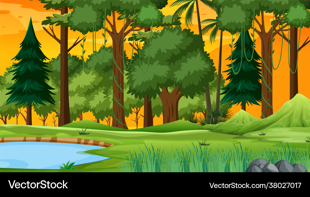 Forest nature scene with pond and many trees Vector Image