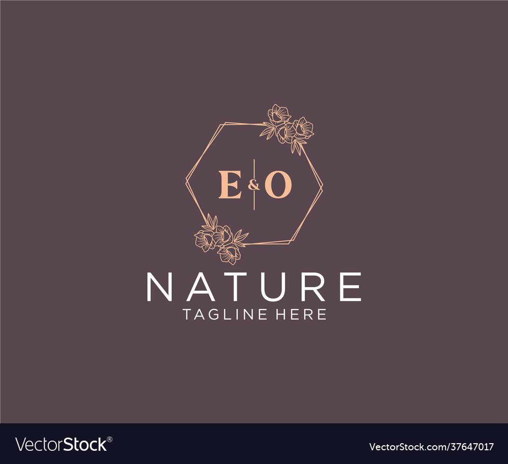 Initial eo letters floral frames botanical Vector Image