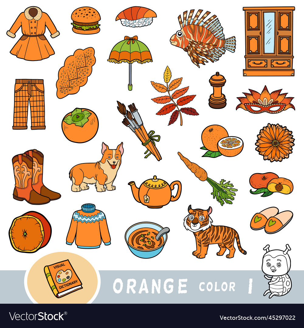 Colorful set of orange color objects visual Vector Image Colorful set of orange color objects visual Vector Image