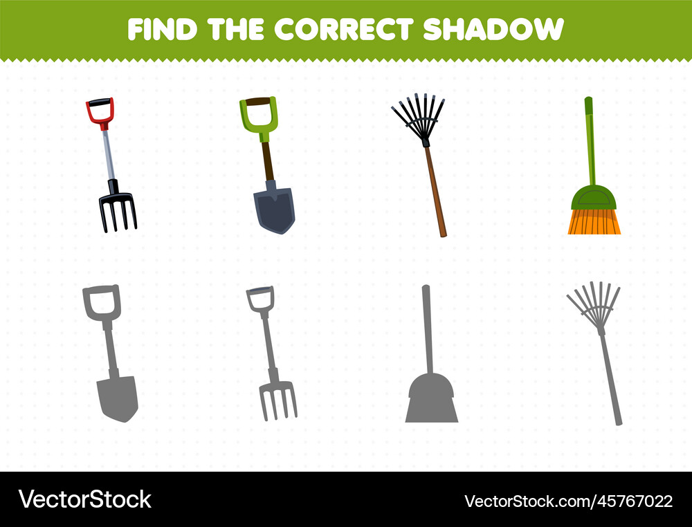 Education game for children find the correct Vector Image