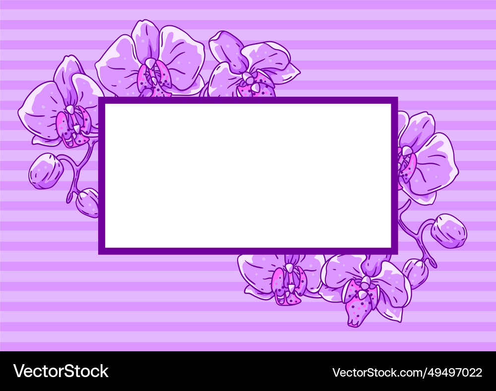 Frame with orchid flowers beautiful decorative Vector Image