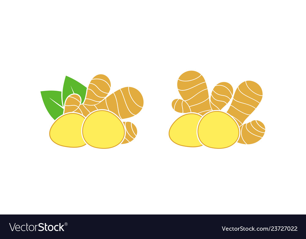 Ginger logo Royalty Free Vector Image - VectorStock