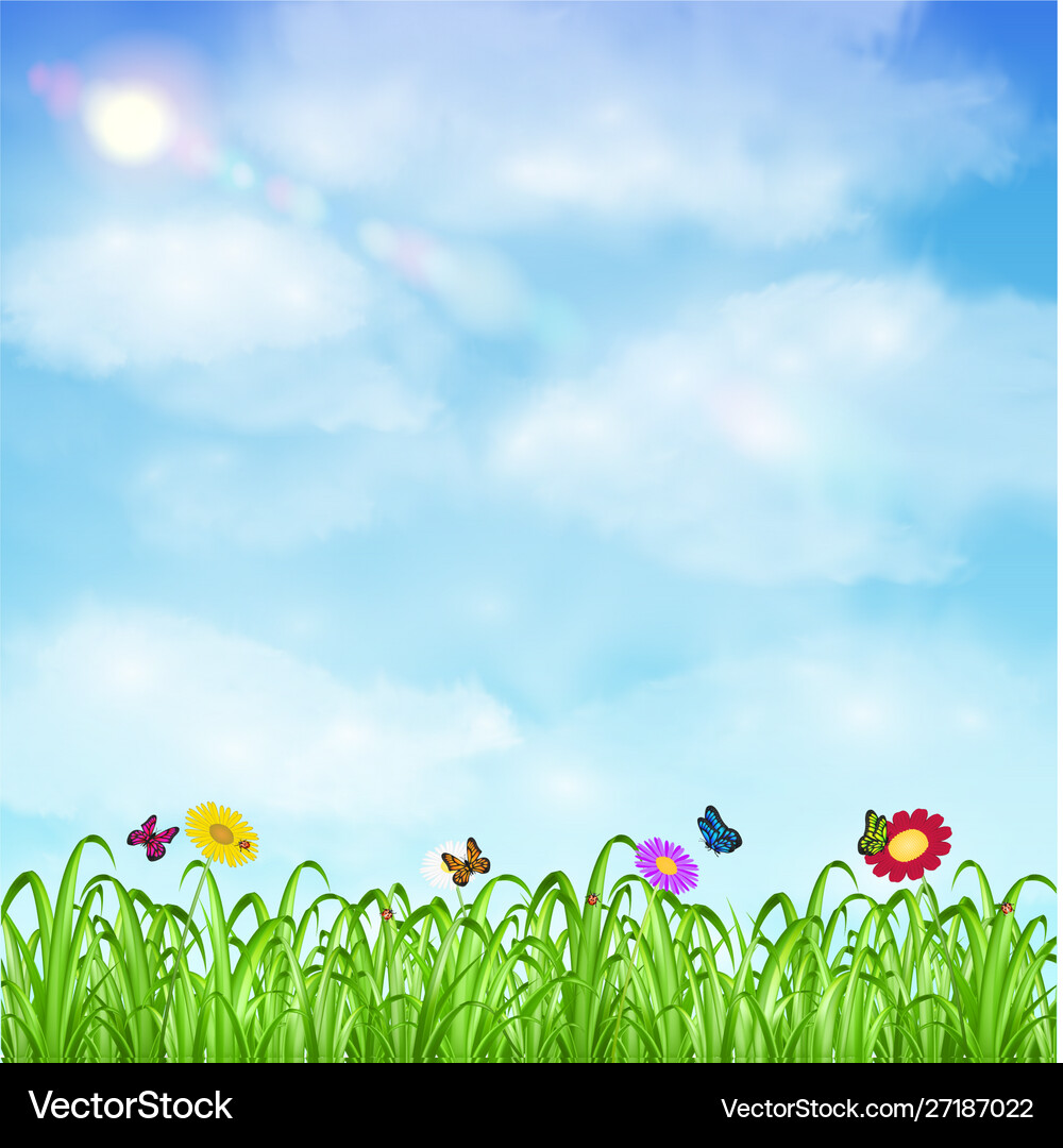 Grass with flower and butterfly ladybug sky Vector Image