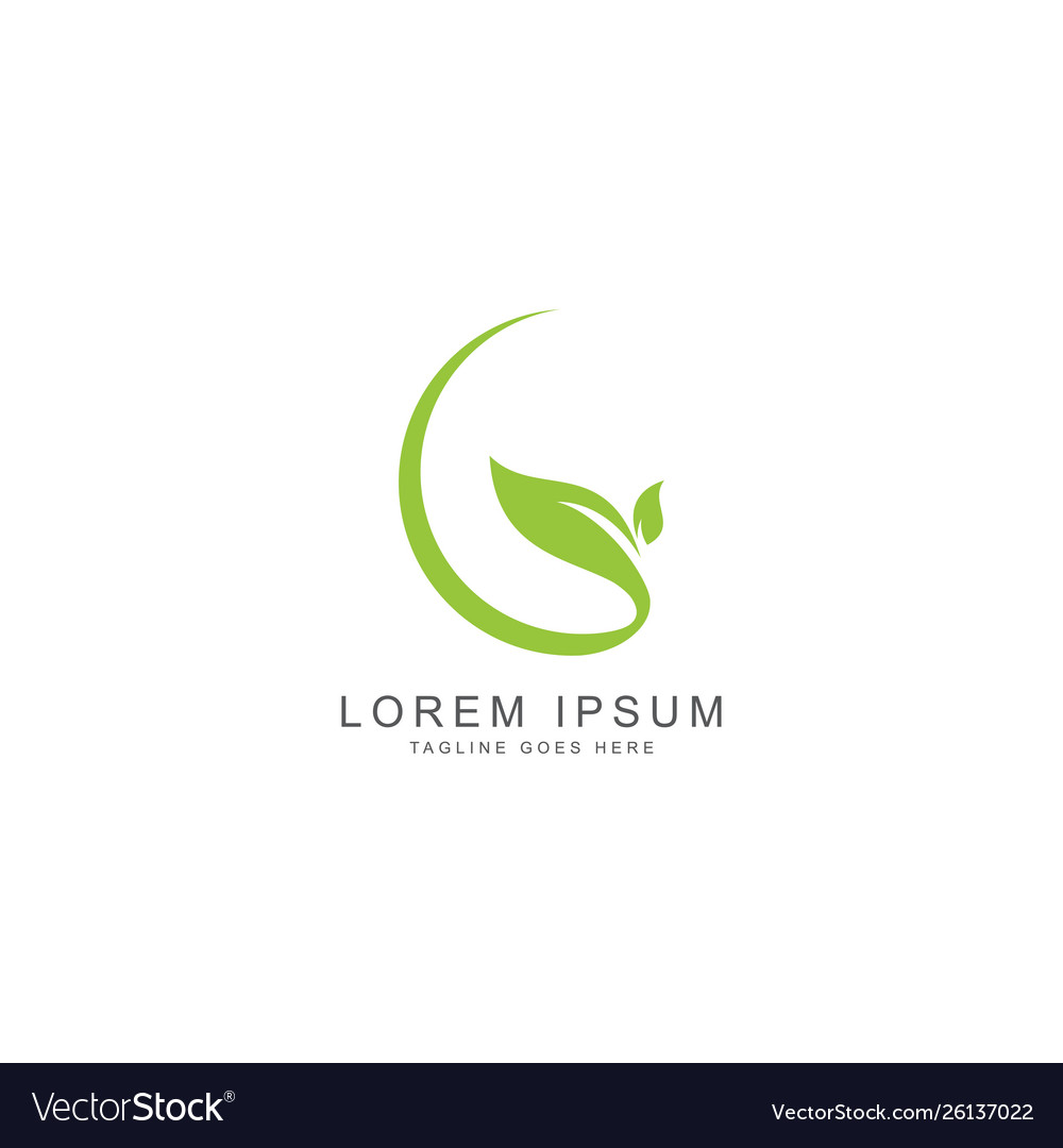 Leaf logo template Royalty Free Vector Image - VectorStock