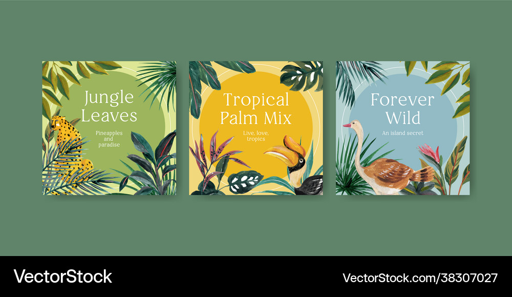Advertise template with tropical contemporary Vector Image