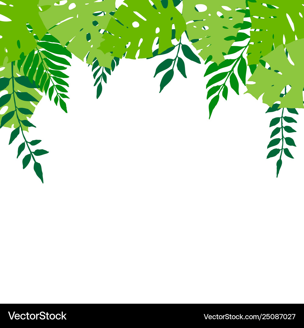 Botanical frame with green tropical leaves Vector Image
