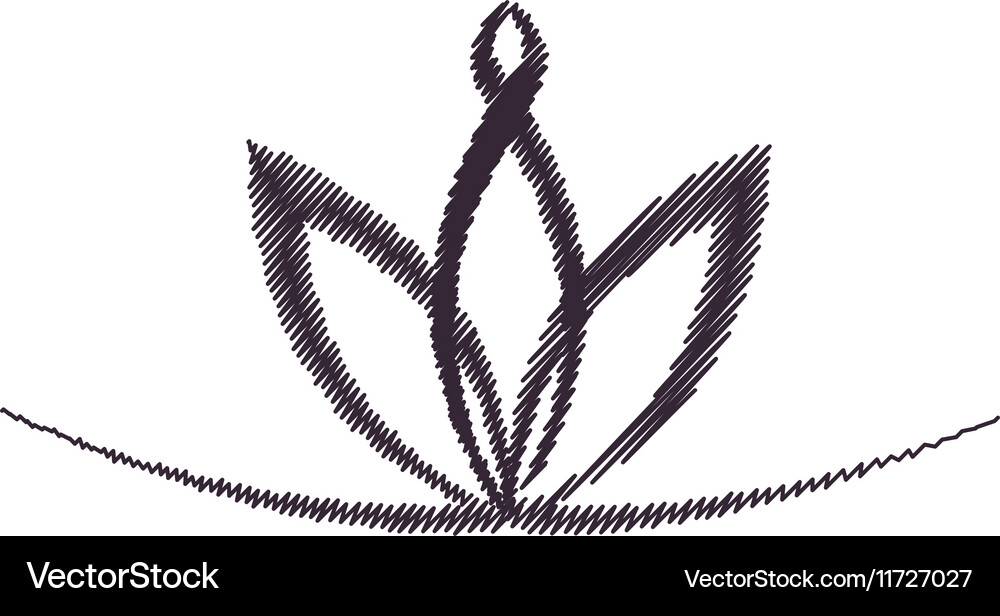 Floral decoration isolated icon Royalty Free Vector Image