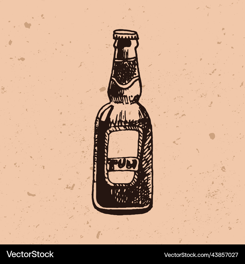 Hand drawn beer bottle in engraving style ink Vector Image