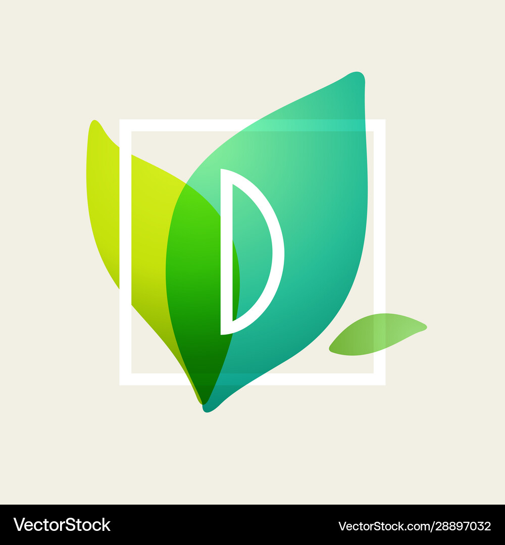 D letter logo in square frame at green leaves Vector Image