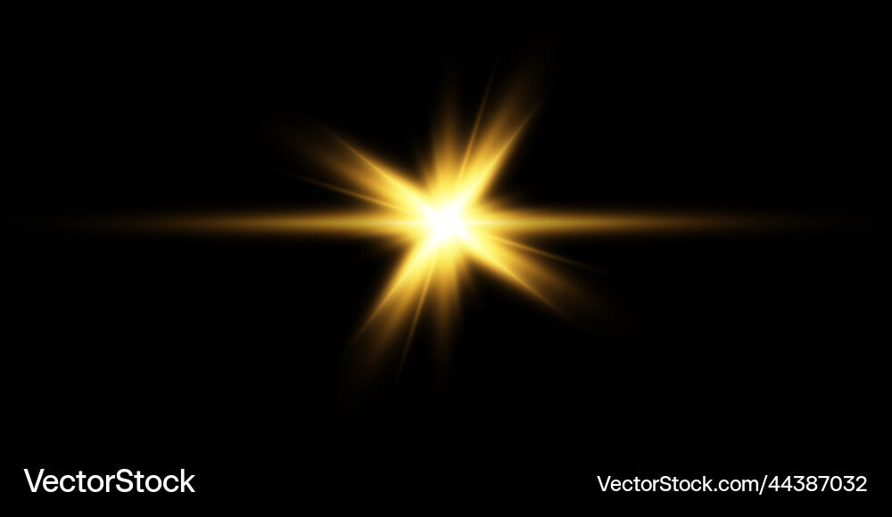 Golden star on a black background the effect Vector Image