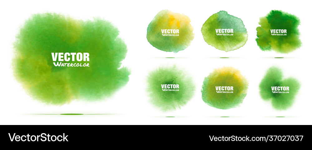 Green hand drawn watercolor background set Vector Image