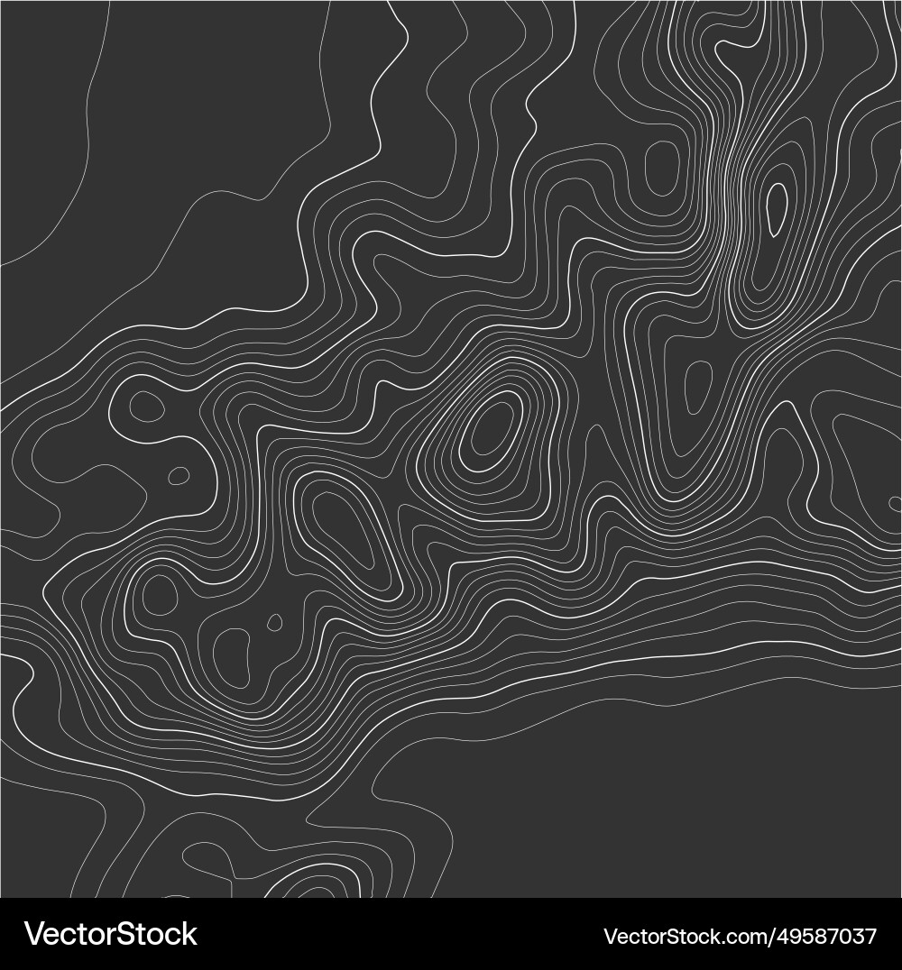 Grey contours topography mountain terrain Vector Image