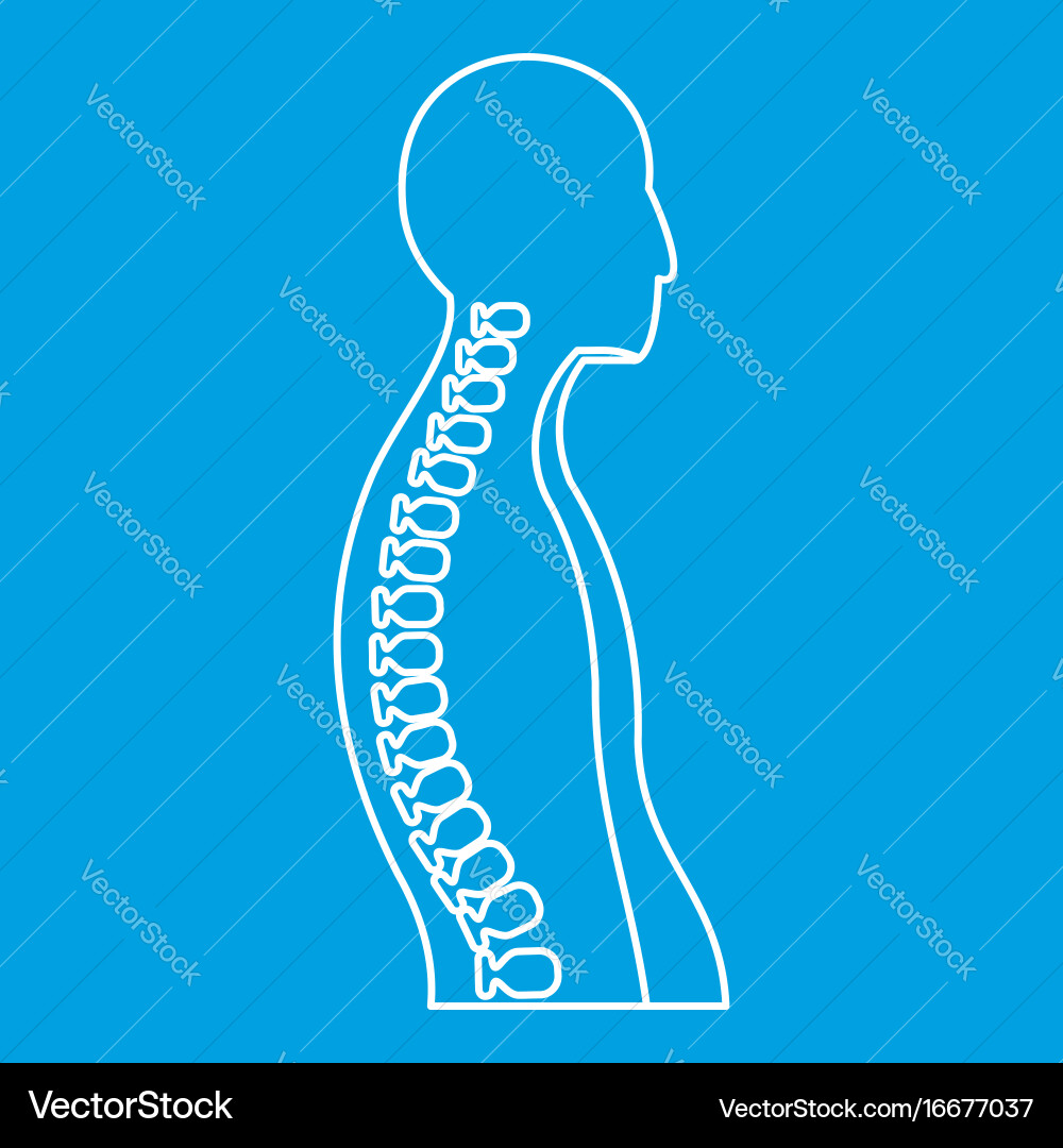 Human spine icon outline style Royalty Free Vector Image