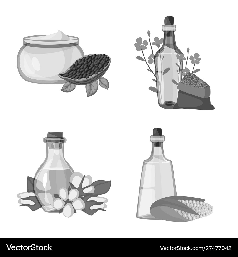 Isolated object nutrition and organics icon Vector Image