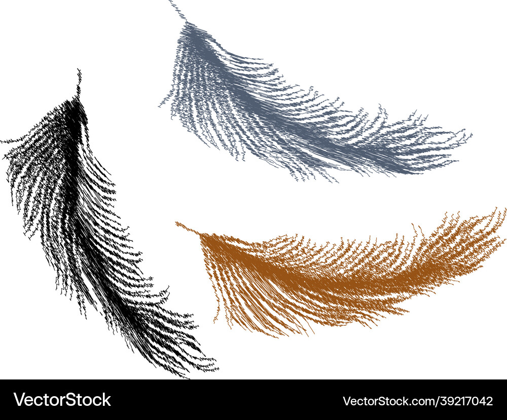 Scribble drawings of abstract birds feathers Vector Image